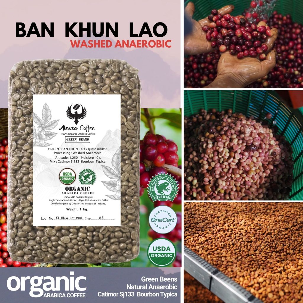 สารกาแฟ / Green Beans - Alexta Coffee Roaster